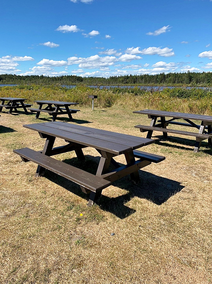 Picnic with a view. These tables aren't just for eating; they're front-row seats to nature's own IMAX. Bring a sandwich, leave with a renewed appreciation for the great outdoors.