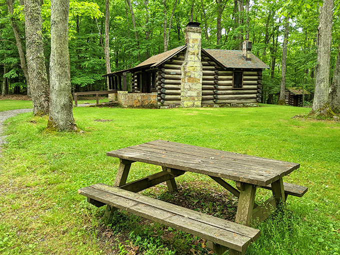 Log cabin chic meets picnic perfection. Who's up for a historically-themed lunch with a side of fresh air?