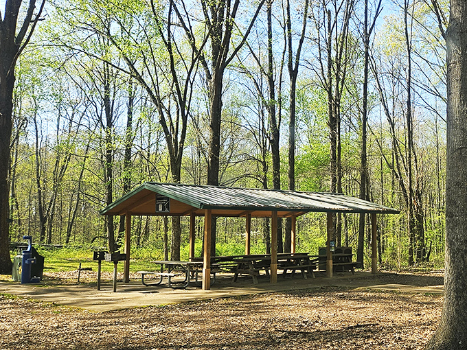 Picnic paradise found! This shaded spot is perfect for spreading out your feast. Just watch out for sneaky squirrels eyeing your sandwich.