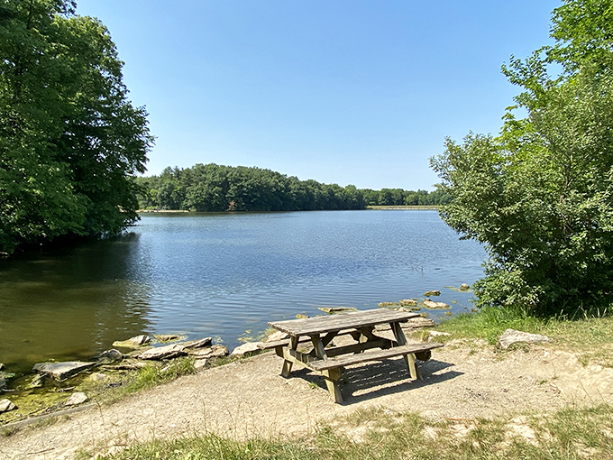 Lunch with a view that beats any 5-star restaurant! This picnic spot offers a feast for the eyes and a perfect perch for your PB&J.