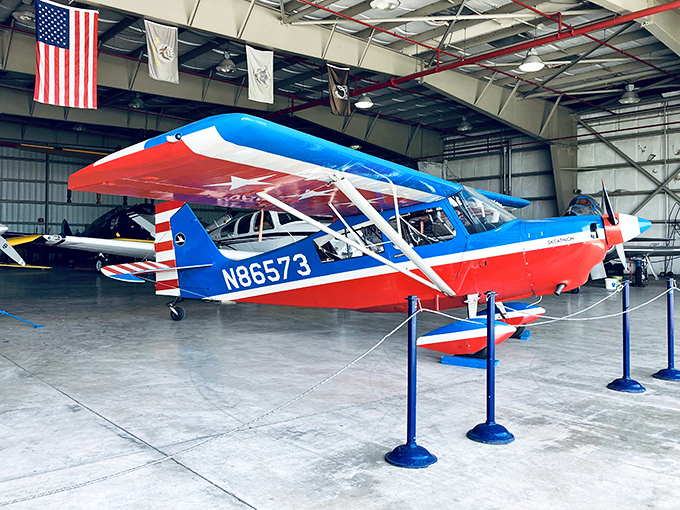 Red, white, and flew! This patriotic plane is serving up a slice of Americana with a side of high-flying adventure.