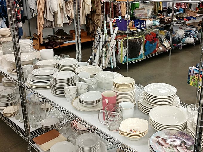 Dish-cover your next dinner party centerpiece! From vintage china to modern minimalism, these plates are ready to serve up style.