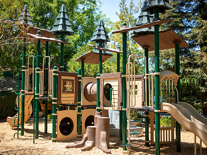 "Welcome to the Enchanted Forest Playground, where every climb is an adventure and every slide is a magical journey. Indiana Jones, eat your heart out!"