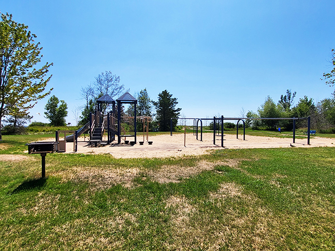 Jungle gyms with a view! This playground proves that fun doesn't have an age limit. Time to channel your inner child and conquer that slide!