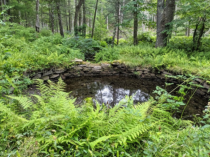 Mirror, mirror on the pond... This reflective beauty puts Snow White's magic mirror to shame with its picture-perfect views.