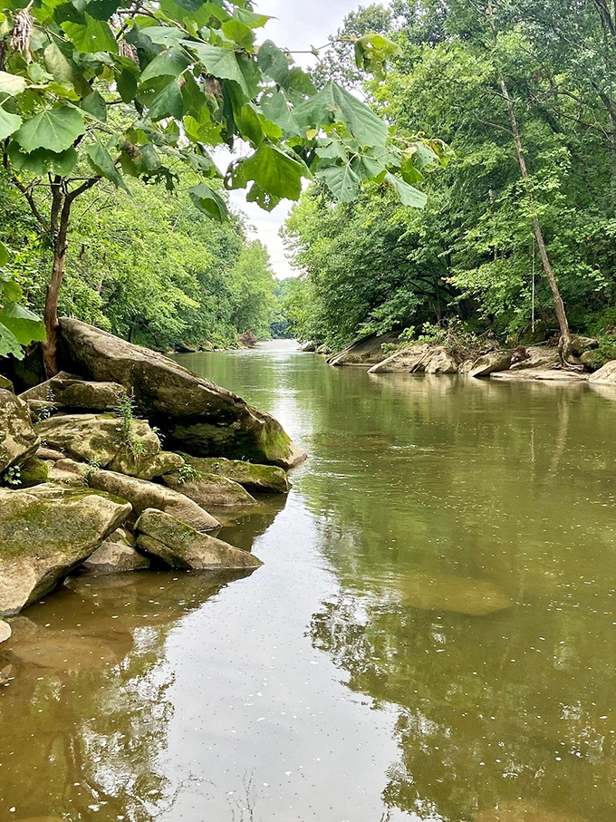Meandering like a lazy Sunday afternoon, this river's got places to go and all the time in the world to get there.