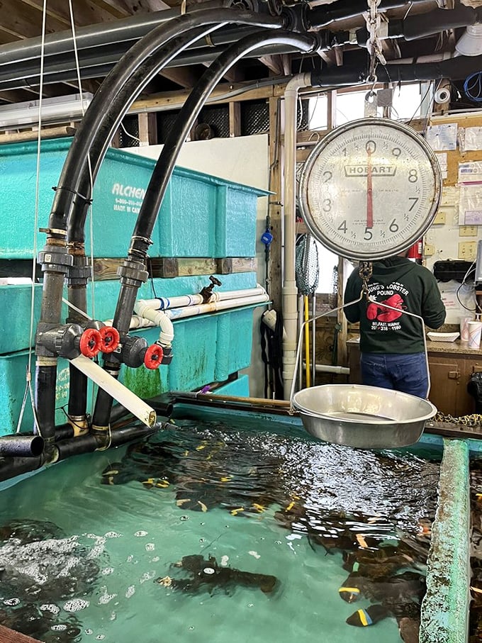 The suspense is killing me! This vintage scale holds the weighty decision between "I'm still hungry" and "I need a nap."