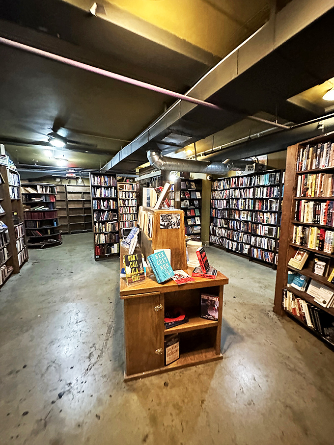 Talk about a wall of wisdom! These floor-to-ceiling shelves are like a real-life Google search, but with that satisfying tactile experience only books can provide.