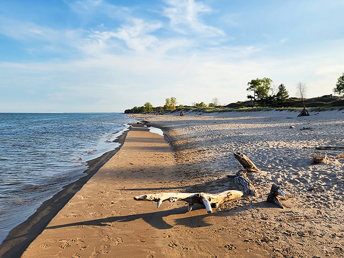 Mother Nature's mood swings: From sun-kissed shores to moody skies, Lake Michigan's coastline is a drama queen worth watching.