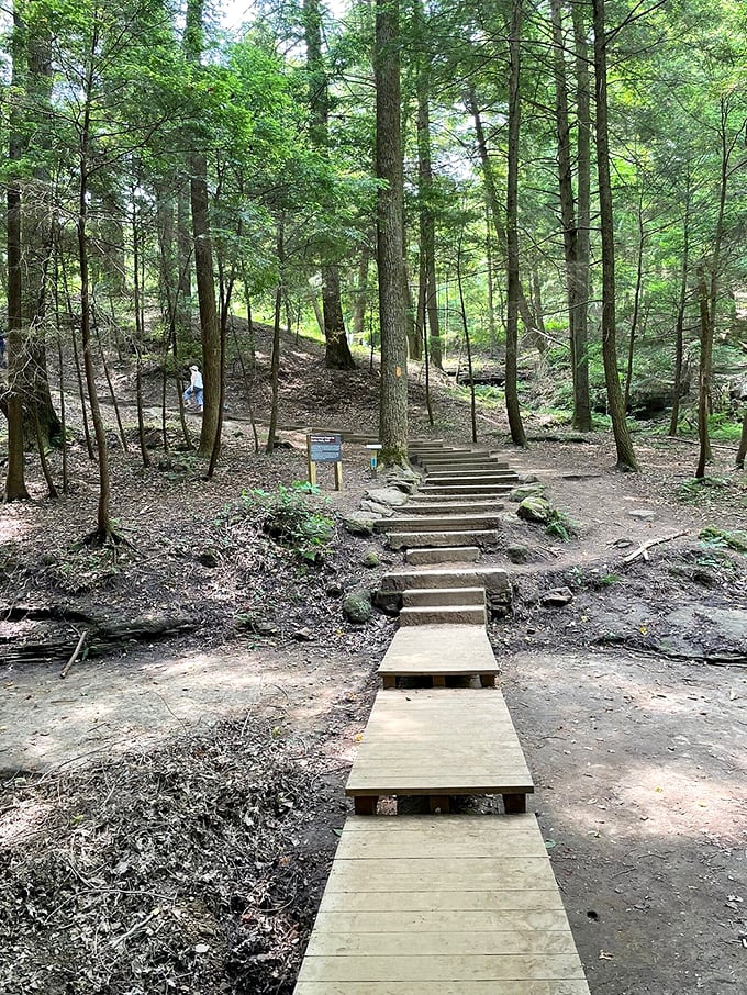 Stairway to heaven or path to adventure? Either way, these steps are your ticket to experiencing Cedar Falls in all its glory.