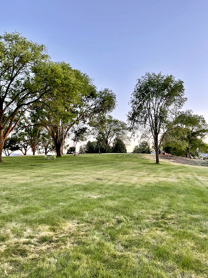 Tree-mendous scenery alert! These leafy giants provide shade and inspiration for your next family Christmas card.