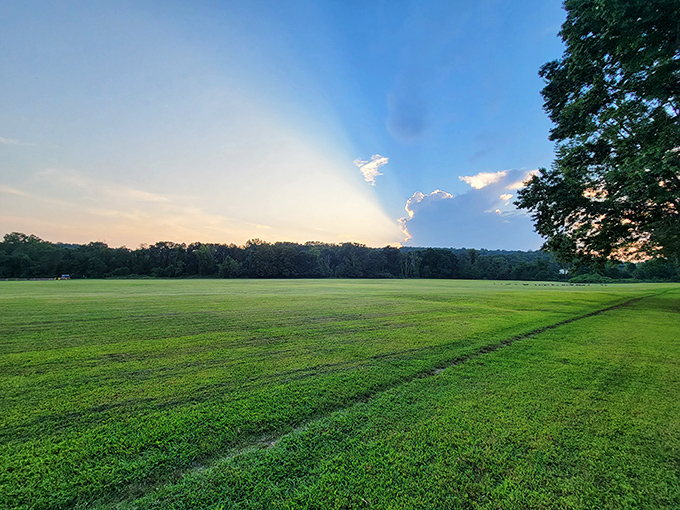 Wide open spaces that would make the Dixie Chicks proud. This meadow is begging for a picnic or an impromptu dance party.