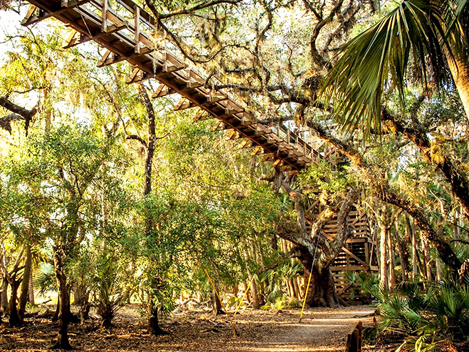 Look down, but don't fall down! This bird's-eye view gives 'hanging out' a whole new meaning.