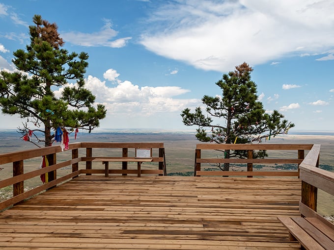 Panorama perfection! This viewing deck offers a front-row seat to nature's IMAX. Don't forget to breathe &ndash; the view tends to steal it away.