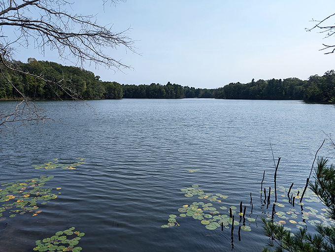 Lily pad paradise: This serene lake scene is so picturesque, you half expect a frog prince to hop by asking for a smooch.