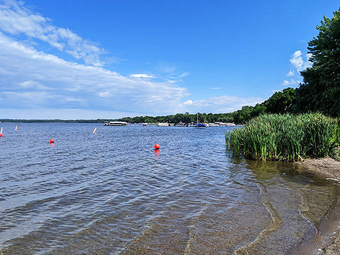Crystal clear waters and lush greenery: Mother Nature's way of saying, 'Hey Minnesota, you're looking good today!'