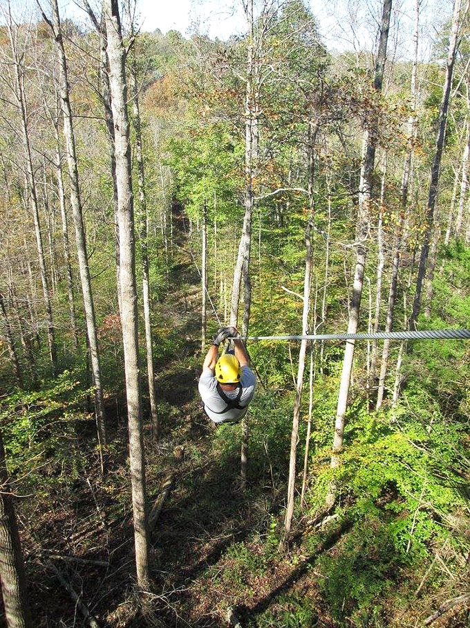 Fly like an eagle (or a very brave tourist)! Makanda's zipline offers treetop thrills and a bird's-eye view of the forest. Just don't look down if you're afraid of heights!