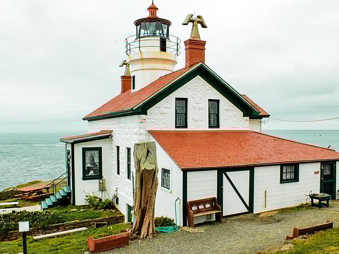 "Battery Point: The lighthouse that ghosts you at high tide. Talk about hard to get!"