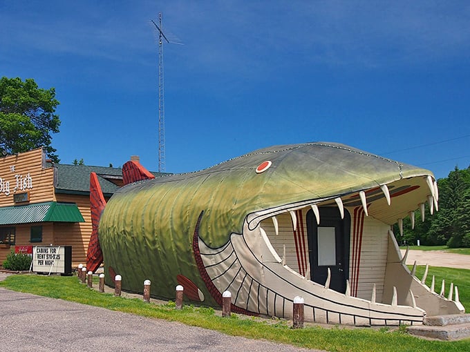 Fish are friends, not food? Tell that to this 65-foot muskie! It's like 'The Little Mermaid' meets 'Jaws' &ndash; with a side of fries.