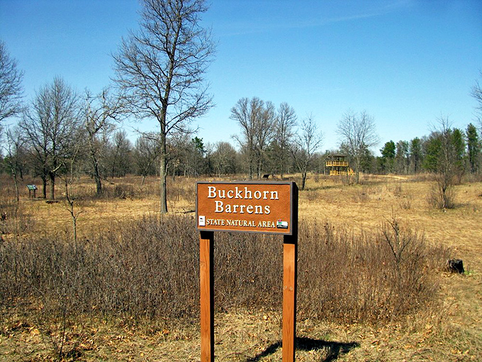 Buckhorn State Park: Where prairies, forests, and wetlands throw the ultimate ecosystem potluck. Don't forget to bring potato salad!