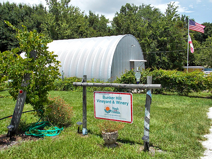 Bunker Hill Vineyard & Winery: Mother Nature's wine cellar! This Duette delight proves going green can be deliciously purple.