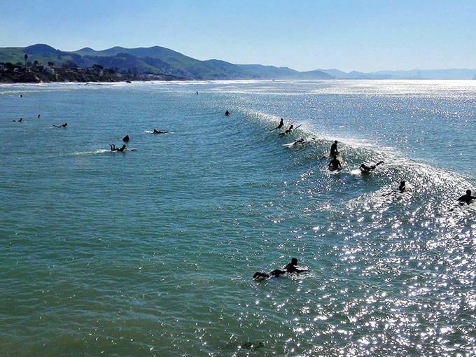 Catch a wave, soak up the sun, and enjoy the beautiful Pacific coast at this classic Cayucos surf spot!