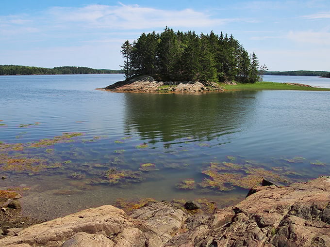 Cobscook Bay: where islands play peek-a-boo with the tides.