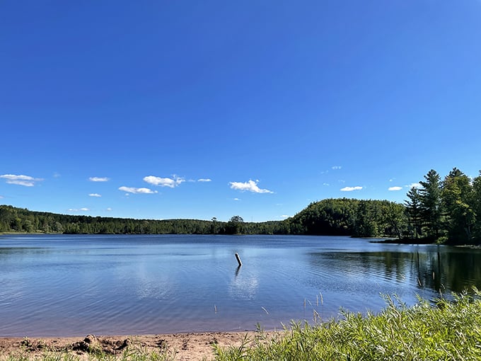 Emerald oasis: This lush forest cradles a hidden lake, proving Mother Nature is the ultimate landscape artist.
