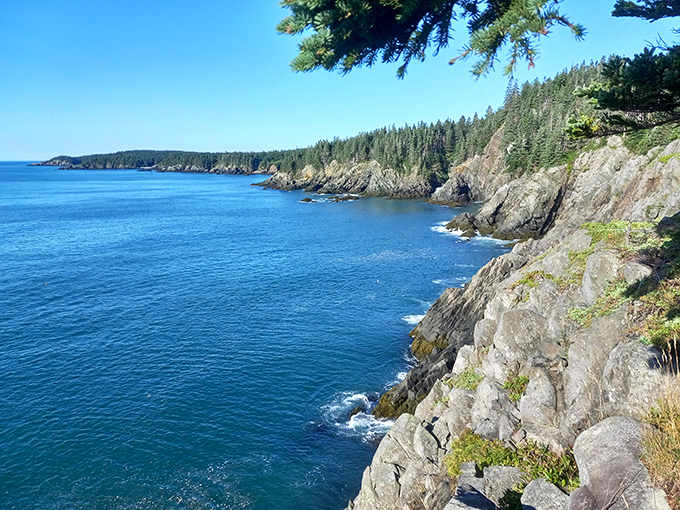 Cutler Coast: Where the Atlantic meets its match. Rugged cliffs and crashing waves – nature's own dramatic performance.