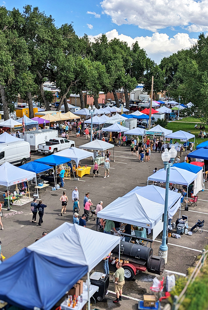 Laramie's living room! The Downtown Farmers Market transforms streets into a bustling bazaar of fresh finds and local flavors.