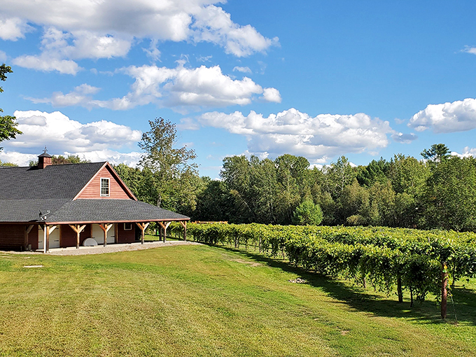 Dragonfly Farm: Where boutique wines meet bucolic charm. It's like a wedding Pinterest board come to life &ndash; with better drinks!