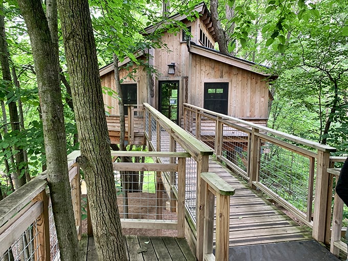 Hobbit hole or nature center? Either way, it's the coziest spot to hide from any lurking dragons.