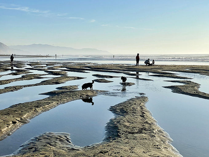Friends exploring the ocean's treasures on a misty morning at Fort Funston, with the long pier in the distance.