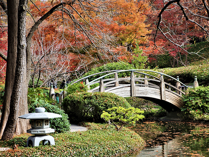 Stroll through a Japanese oasis in the heart of Cowtown. It's like Tokyo and Texas had a beautiful botanical baby.