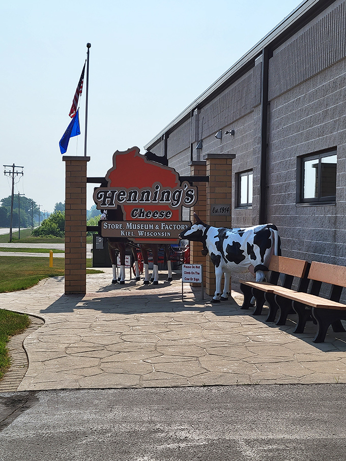 Henning's Cheese: Where dairy dreams come true! This cheese mecca boasts a museum and viewing window, like Jurassic Park for fromage fans.