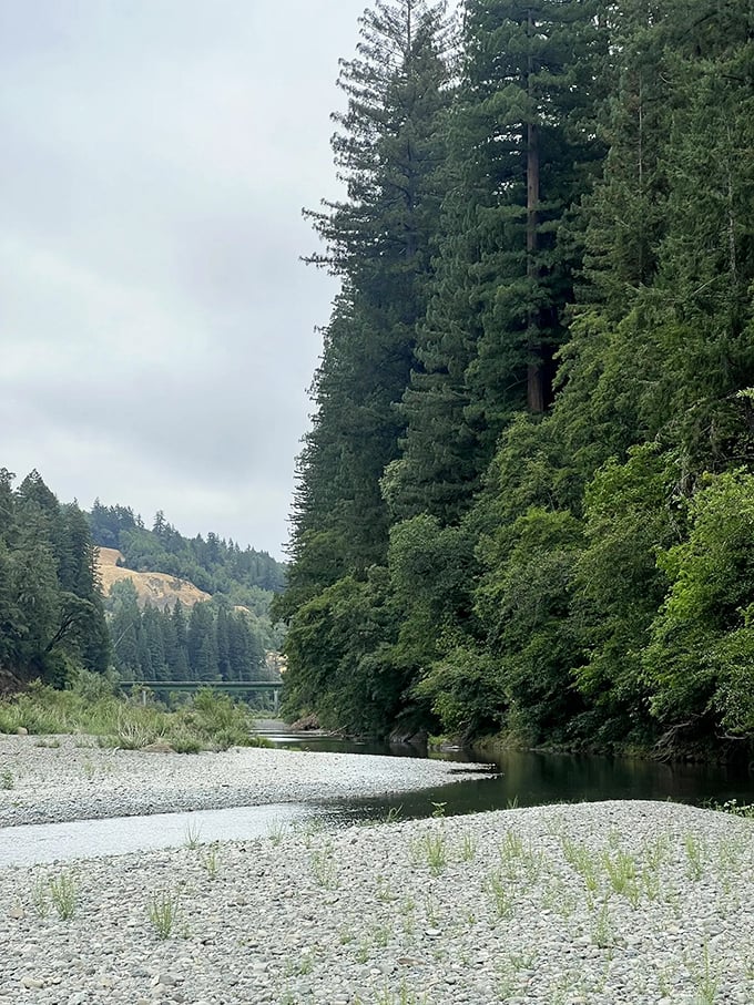 Holbrook Grove: Where trees make skyscrapers look like Lego. Bring a neck pillow, you'll be looking up a lot.