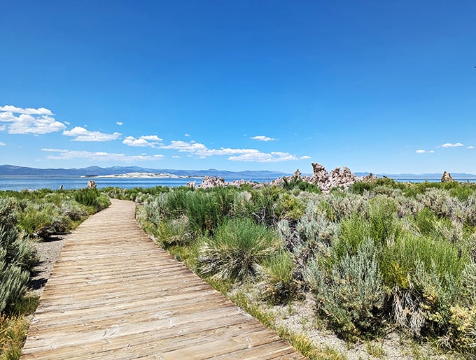 Mono Lake: Where water meets weird. These tufa towers are nature's attempt at avant-garde sculpture &ndash; quirky, bold, and unmissable!