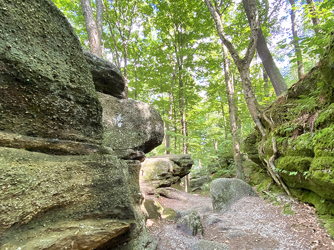 Nelson Kennedy Ledges: nature's obstacle course. Squeeze through rocky crevices and pretend you're Indiana Jones (fedora and whip not included).