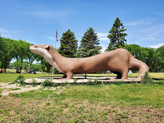 Meet Otto, Fergus Falls' concrete casanova. He's otterly adorable and always ready for his close-up.