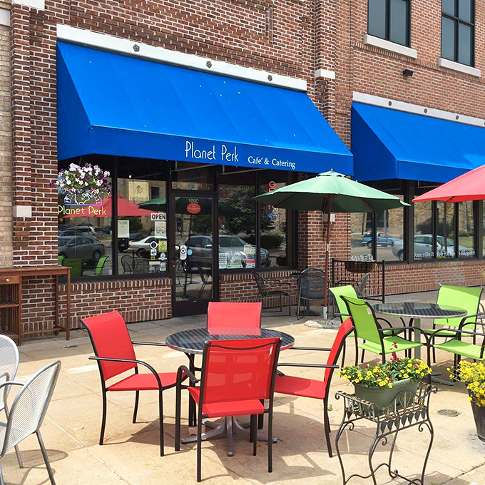 Planet Perk: The Clark Kent of cat cafes. Mild-mannered coffee shop by day, feline superhero hangout... also by day.