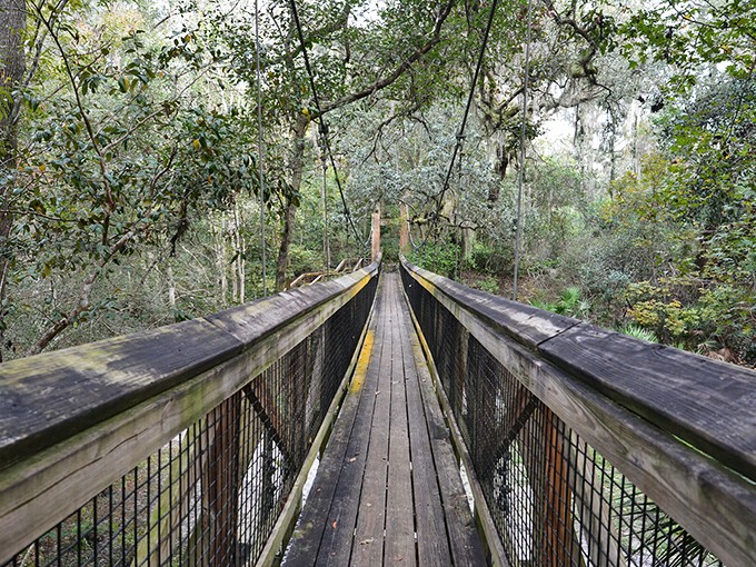 Stairway to heaven or nature's StairMaster? Either way, this ravine promises views worth every huffing, puffing step.