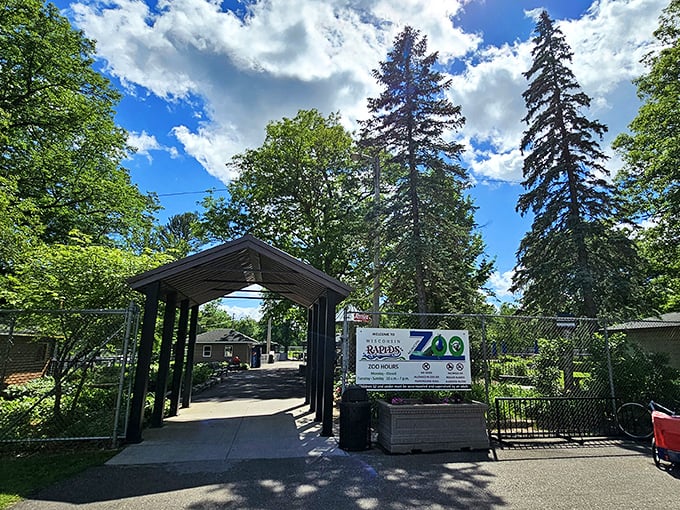 Lions and tigers and... golf balls? Oh my! Riverview Park proves mini-golf and zoo visits are a hole-in-one combo.