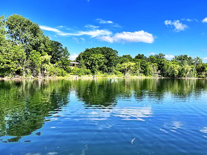 Shady Oak Beach: Where the oak trees provide shade and the lake provides endless summer fun.