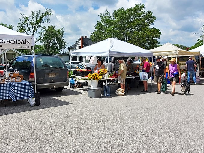 Sunday Farmers' Market: Where farm-fresh meets flea market chic. It's a feast for your eyes and your taste buds!