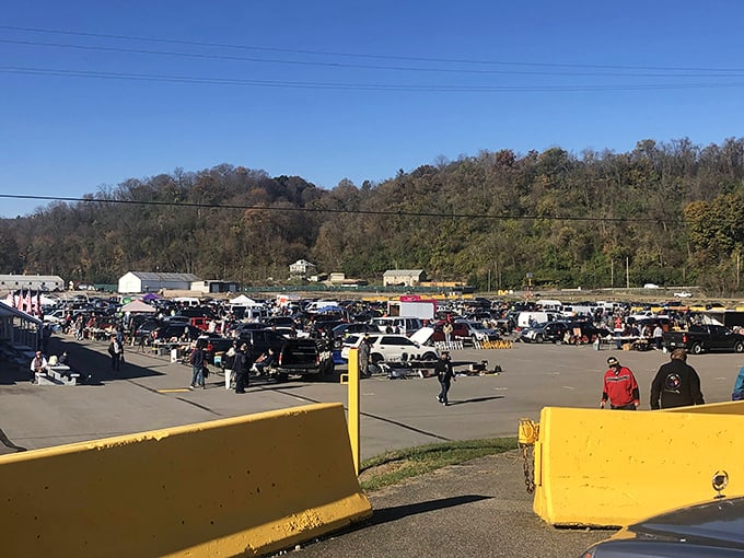Trader Jack's Flea Market: Bargains as far as the eye can see! Cars and canopies create a makeshift city of commerce and curiosities.