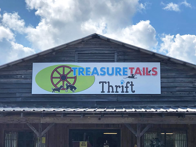 Treasure Tails: Where 'one man's trash' becomes your living room's new conversation starter. Expect the unexpected!