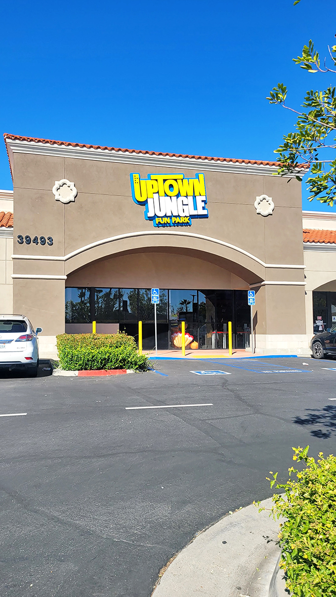 Uptown Jungle: Where the concrete jungle meets Tarzan's playground. Swing into action and leave adulting at the door!