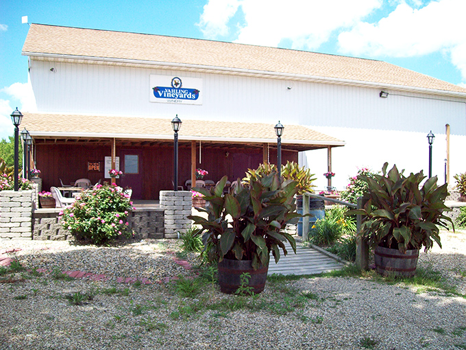 Vahling Vineyards: This rustic gem is like the treehouse of your dreams, but with a much better beverage selection. No "No Girls Allowed" sign here &ndash; everyone's welcome to sip and savor!