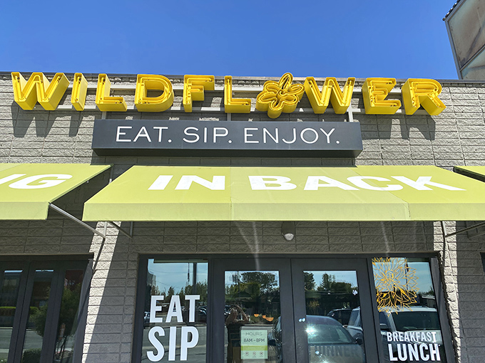 Wildflower Bread Company: Where "Eat. Sip. Enjoy." isn't just a slogan, it's a way of life. Prepare for carb-loaded bliss!