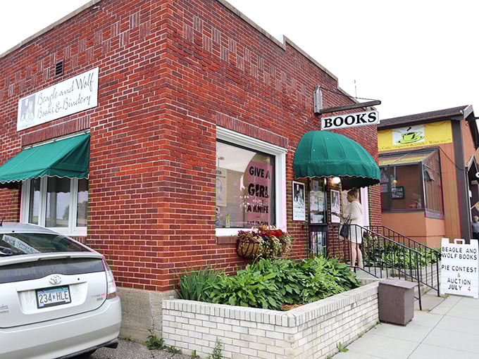 Small town, big literary dreams! Beagle and Wolf proves you don't need skyscrapers to reach new heights in reading.